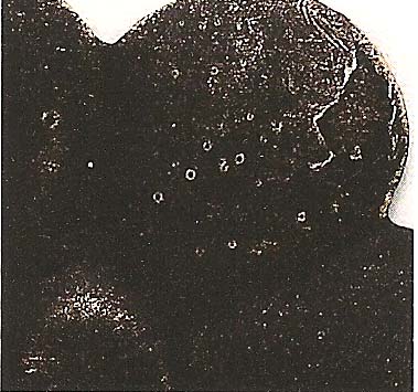 Wrought Iron Fireplace Screens - Functionality and Style | Iron Accents